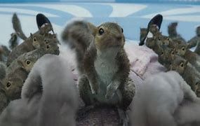 squirrel and the nut room | Genially