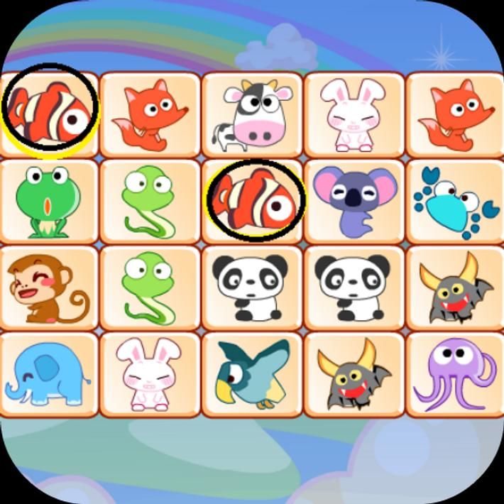 FIND THE PAIRS