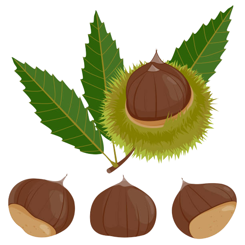 CASTANYADA | Genially