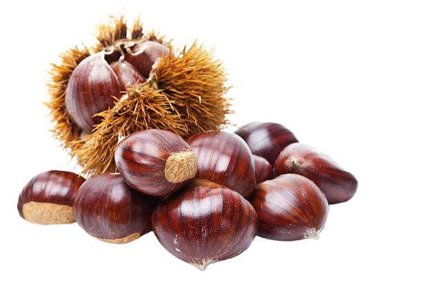 CASTANYADA | Genially