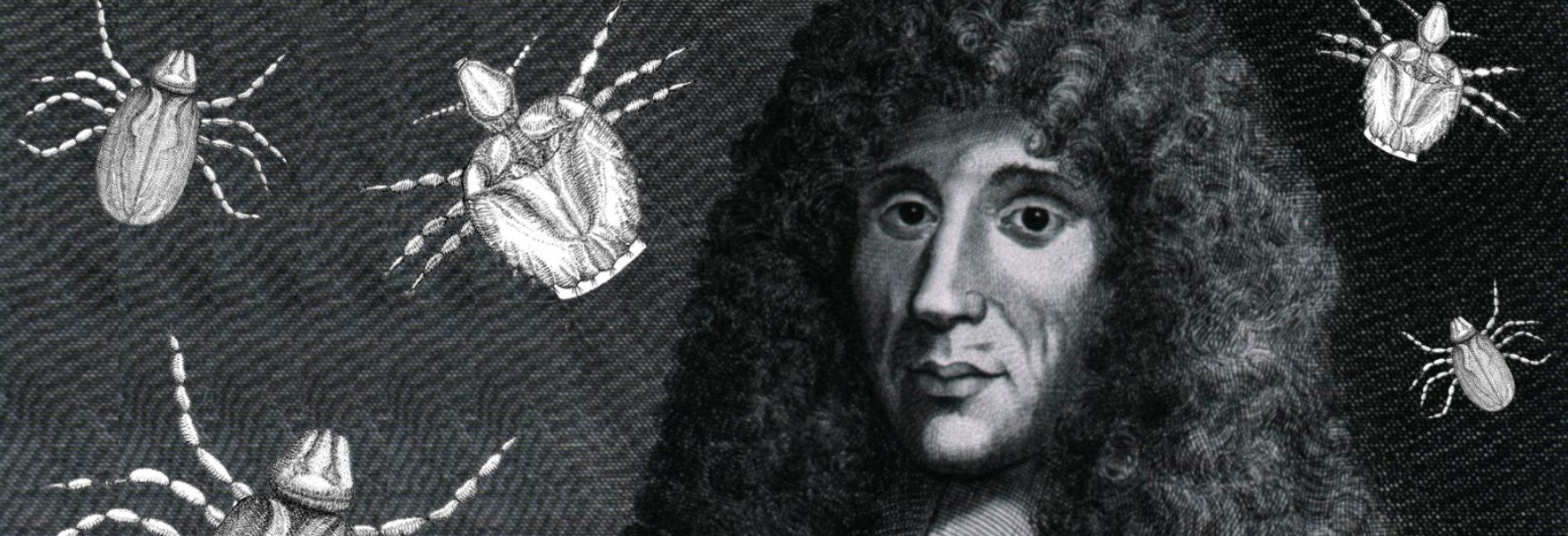 FRANCESCO REDI- EXPERIMENTO | Genially