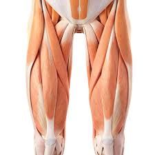 A8_BARBIERI_GIUSEPPE | Genially