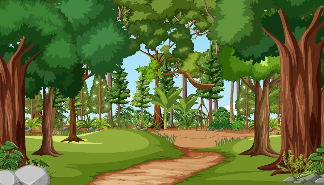 Forest animals | Genially