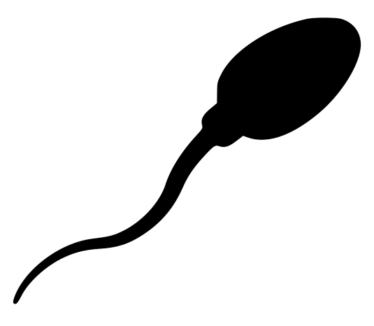 Embryo Development Game | Genially