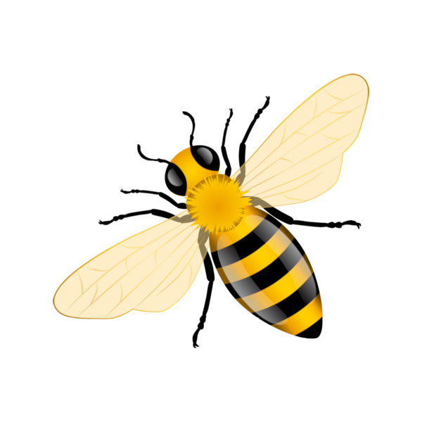 WAY TO SAVE BEES | Genially