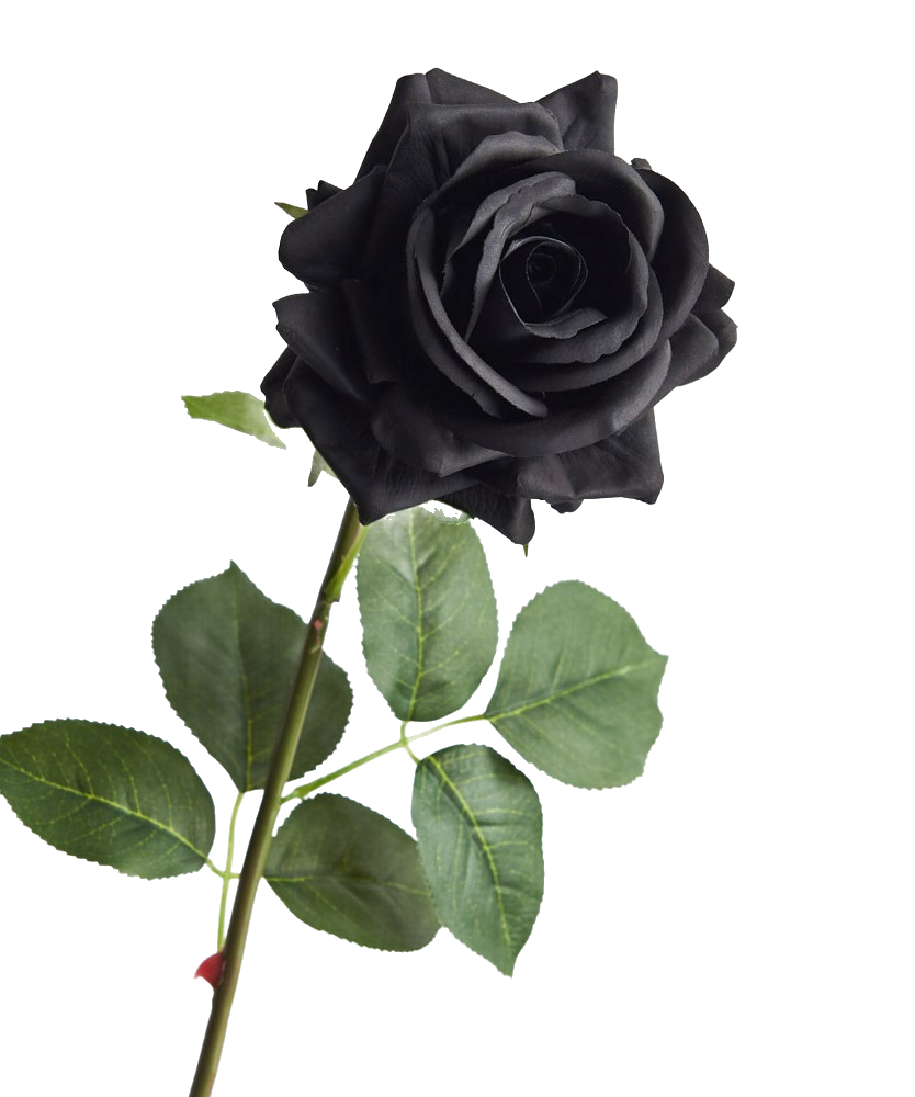 Welcome 1 unit 5 board game | Genially