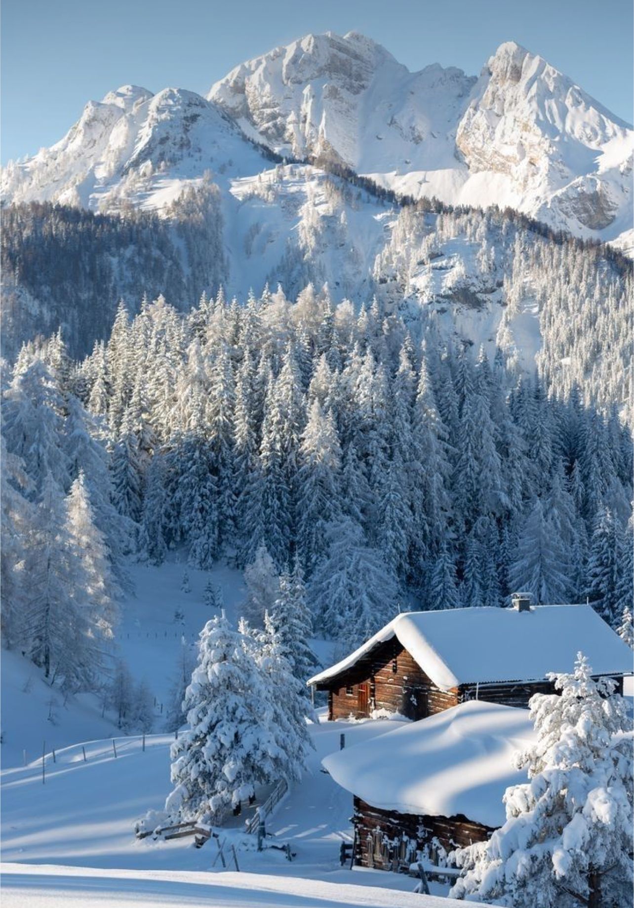 BASIC REPORT | Genially