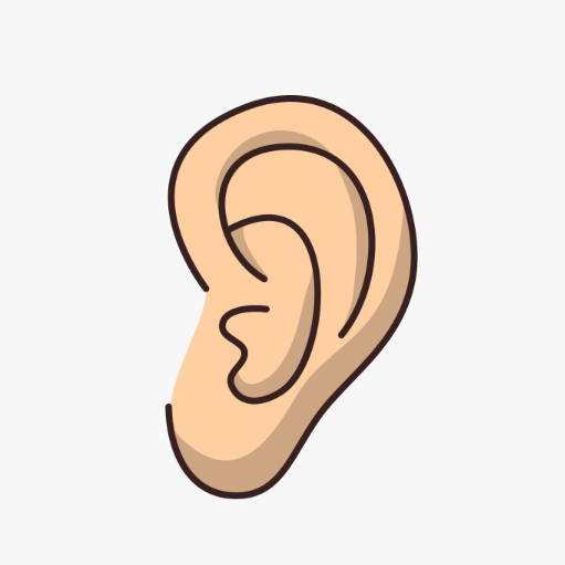 44 put them on | Genially