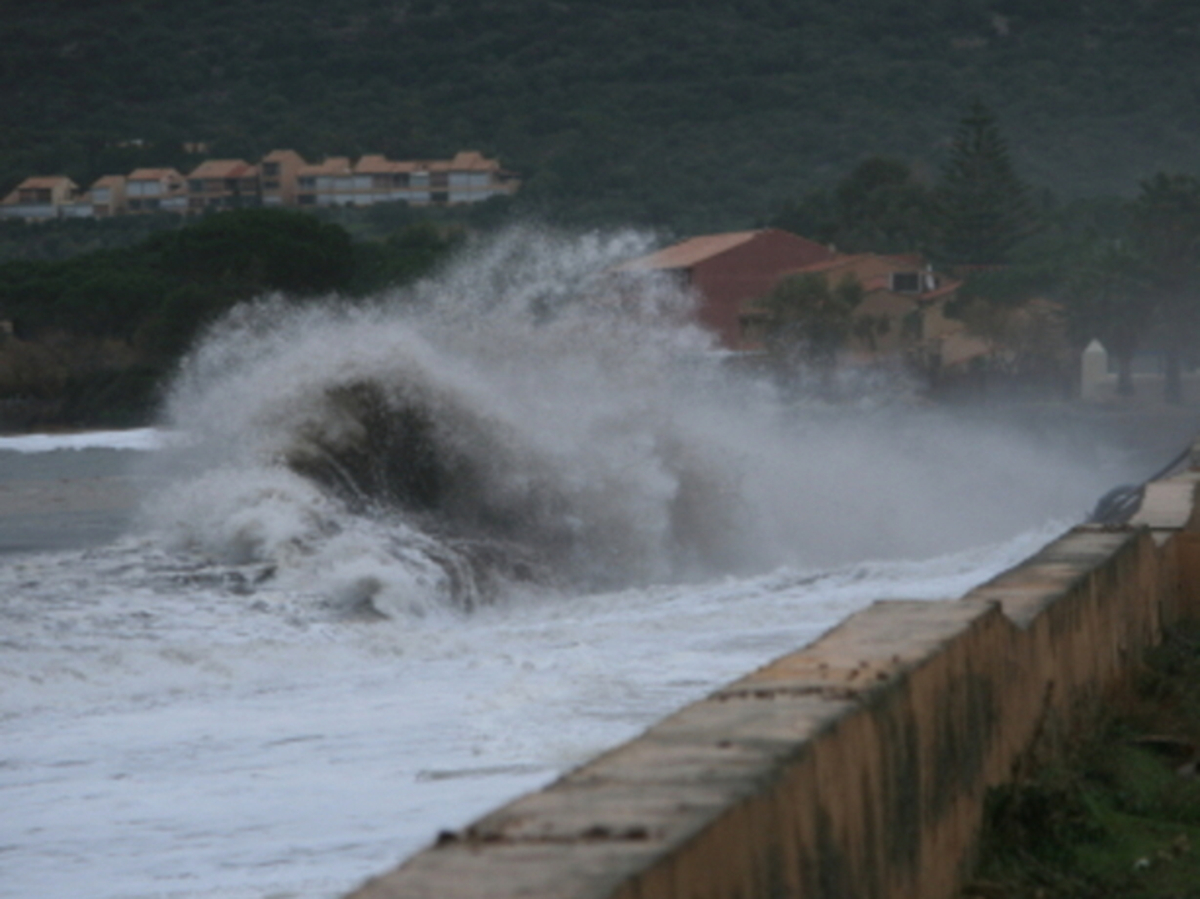 Deck startup | Genially