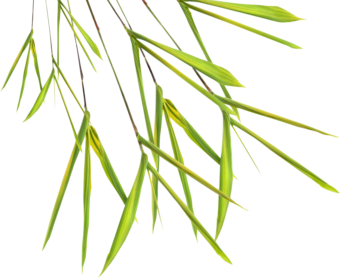 GIVING DIRECTIONS | Genially