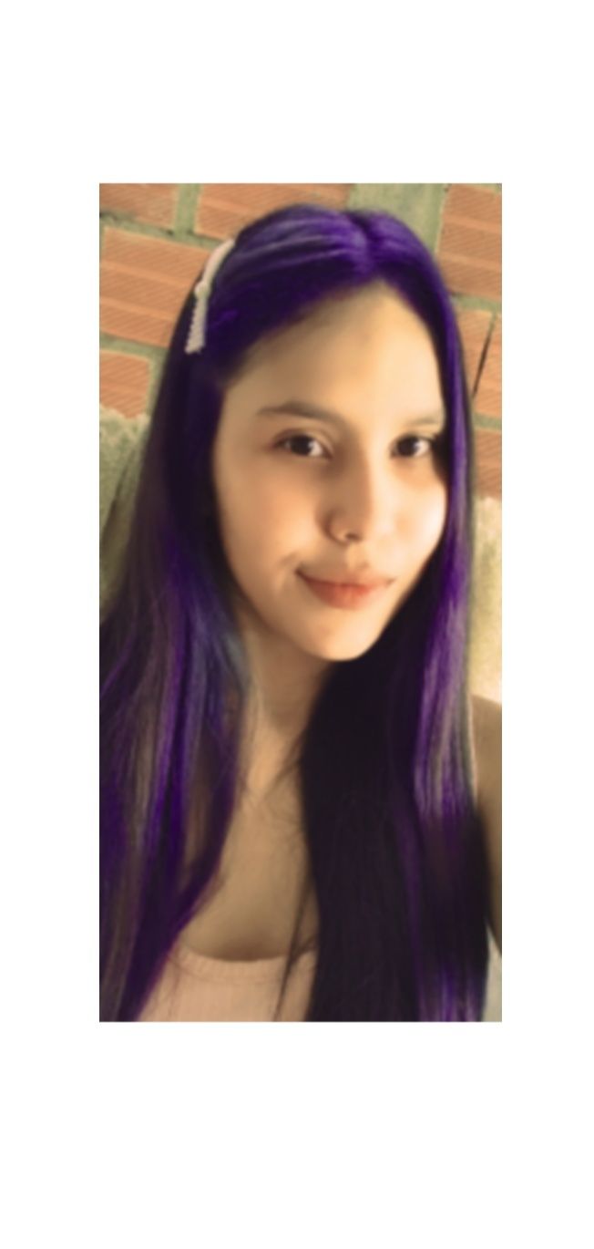 Infografia- Francy Ramirez