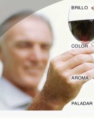 METODOLOGÍA DE LA CATA