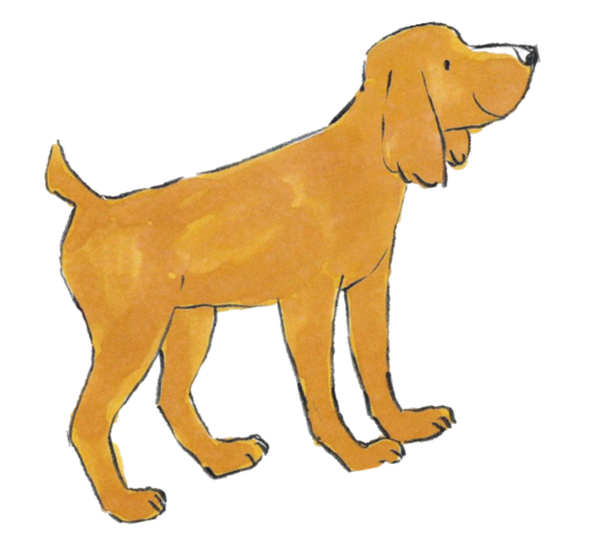 Double Pets | Genially