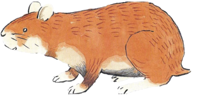 Double Pets | Genially