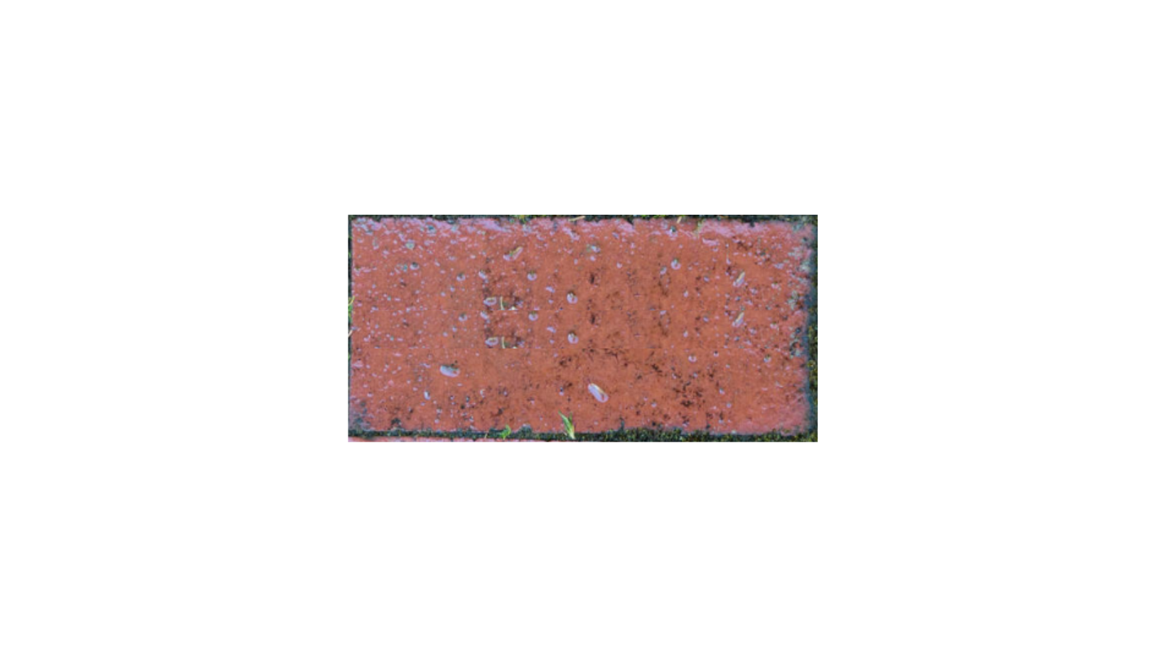 Alum Centennial Brick Campaign | Genially