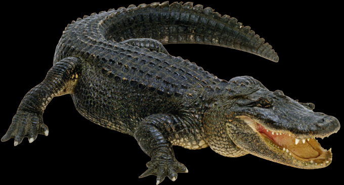 PRESENTACIÓN GENIAL