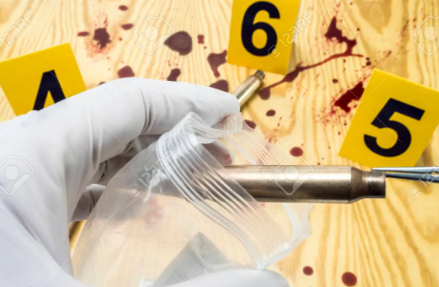 Balística Y Sus Ramas Genially