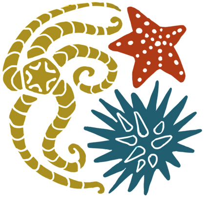 info equinodermos | Genially