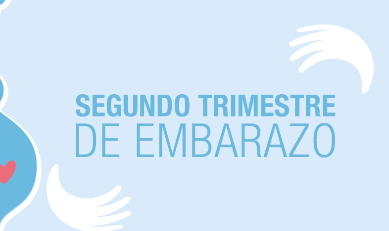 INFOGRAFIA CONTROL PRENATAL | Genially