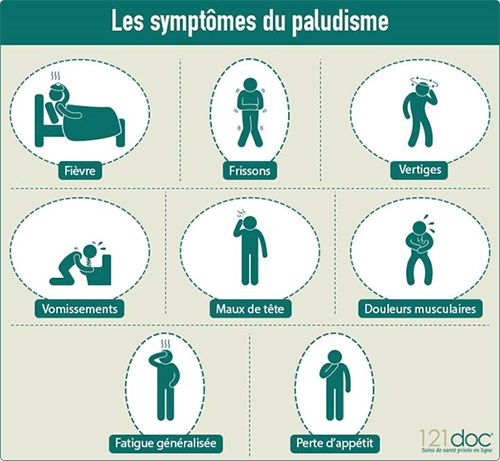 LE PALUDISME | Genially