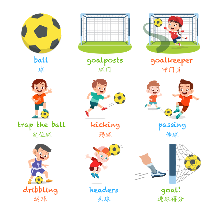 Soccer Vocabulary | Genially