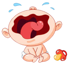 1c reconociendo letras bravo fernanda