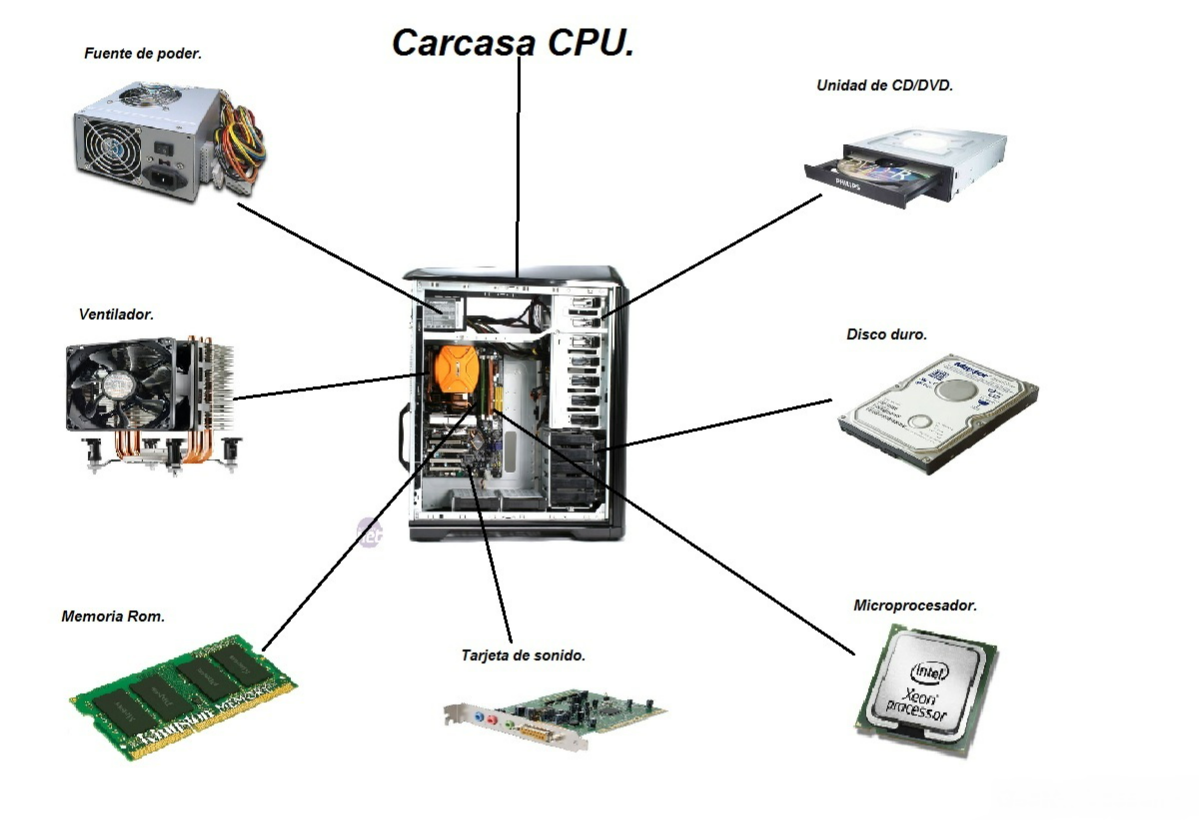 Componentes internos de la Computadora