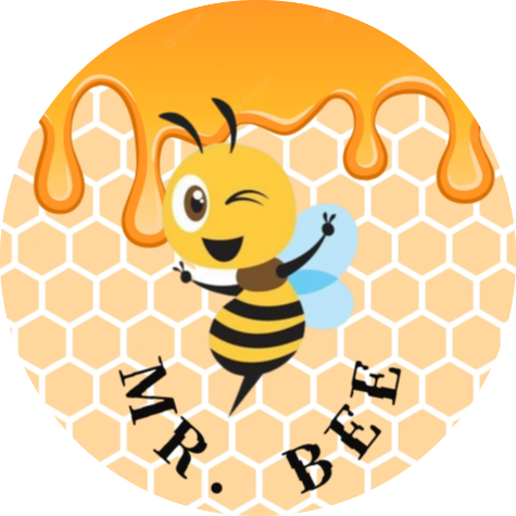 Mr. Bee