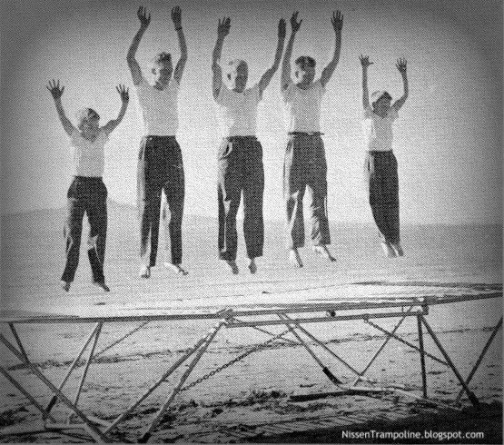 Evolution of Trampoline