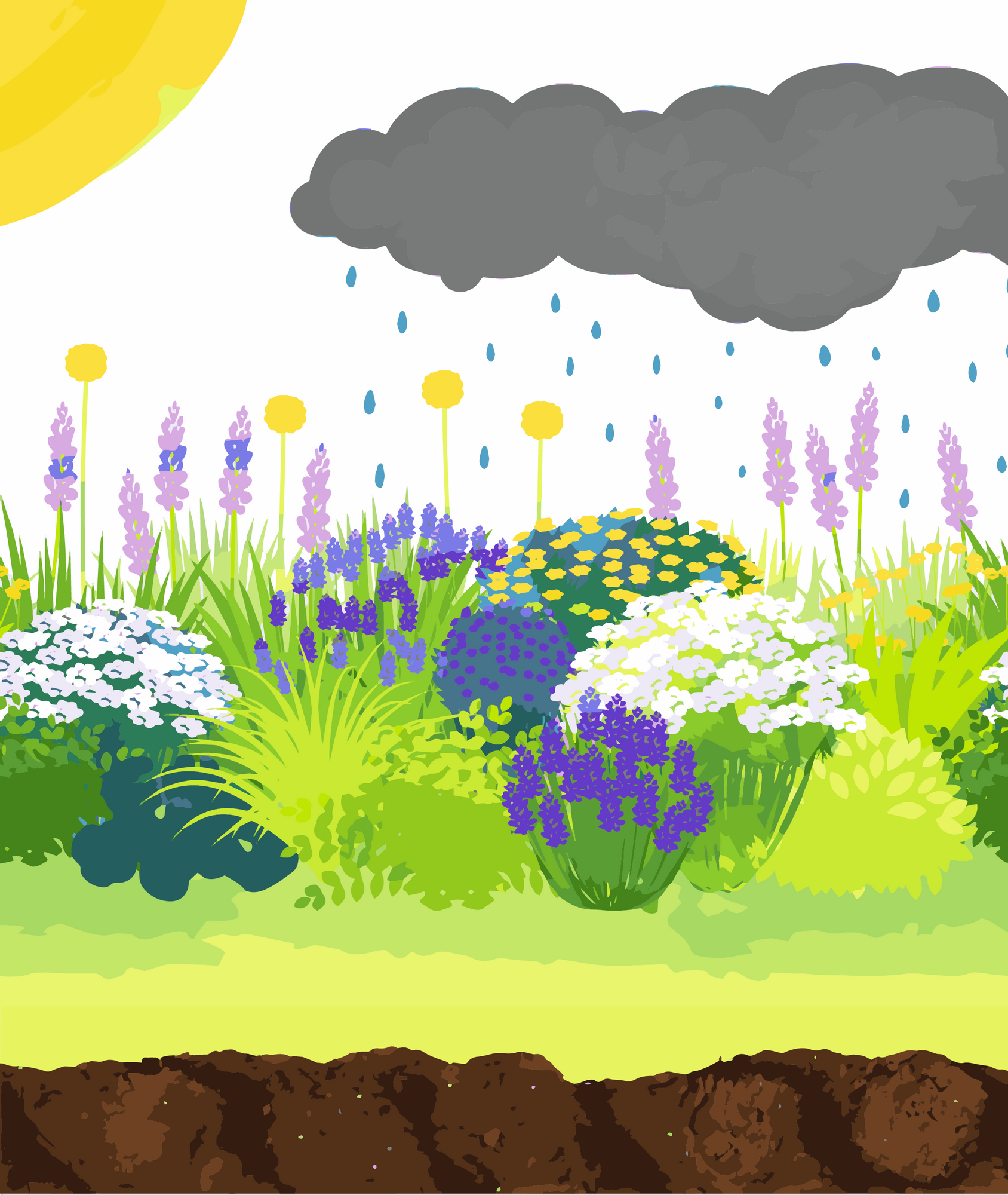 Garden of Positionality | Genially