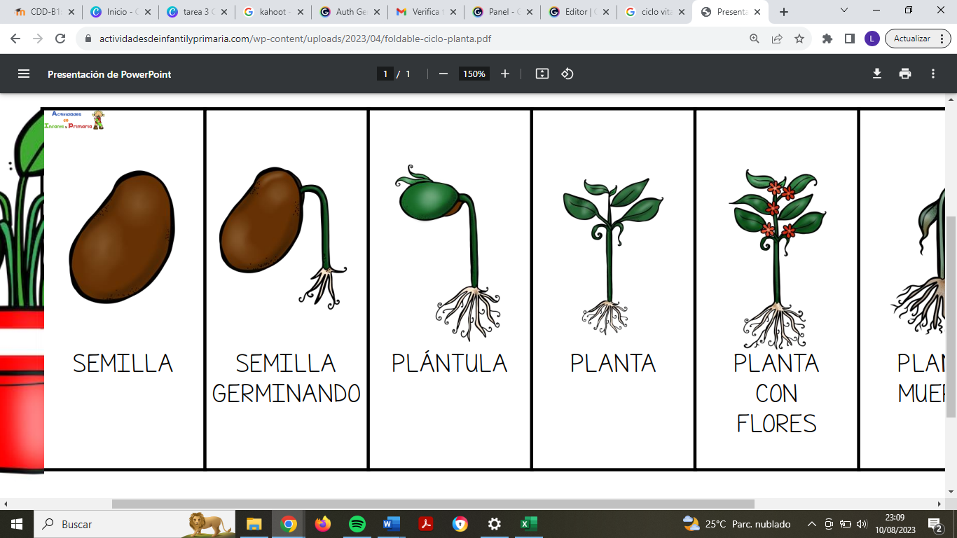 ORDENA EL CICLO VITAL DE LAS PLANTAS | Genially