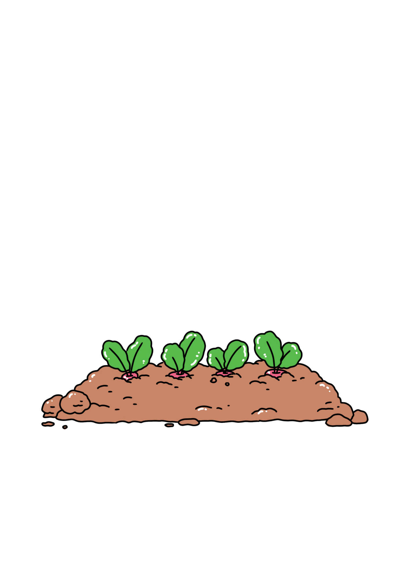 Flora la Coliflora VERDADERO O FALSO