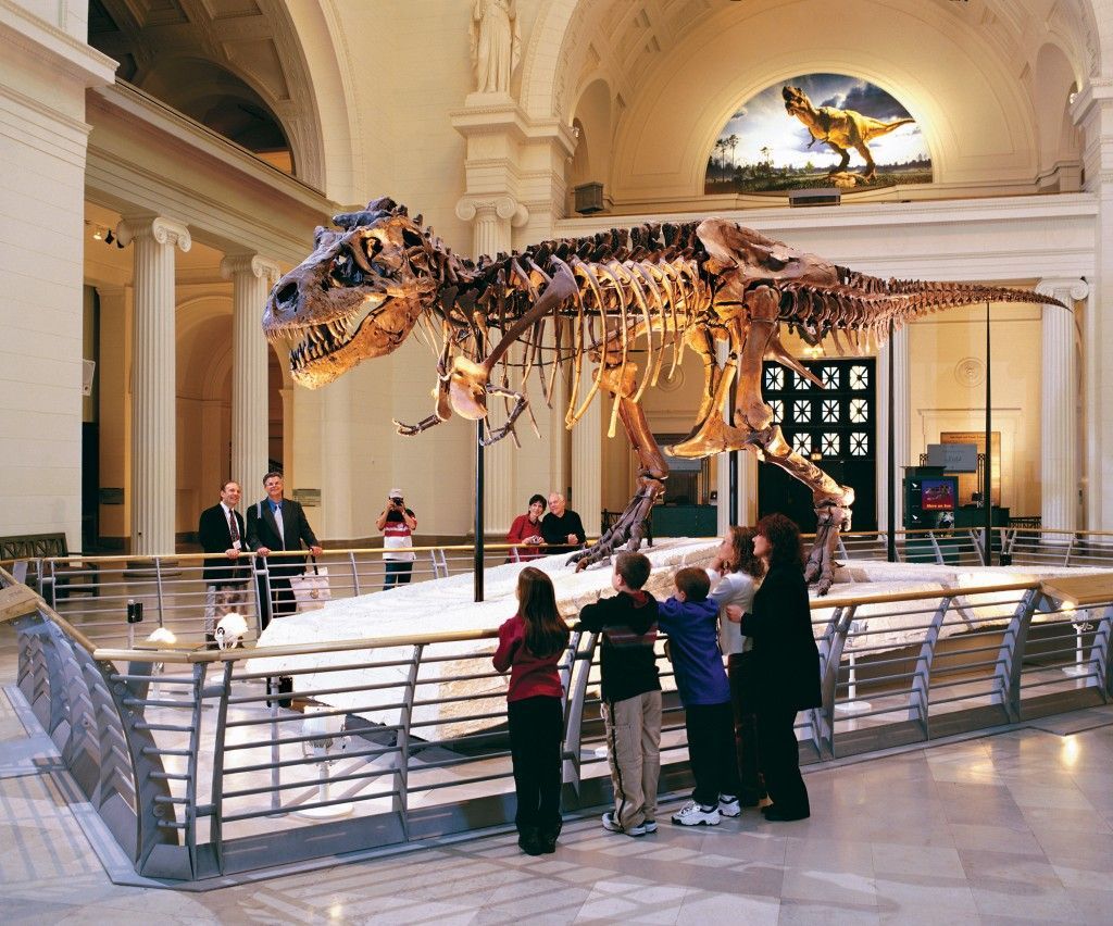 Spinner (Past Simple) 7.3 | Genially