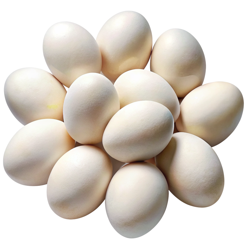 DOUBLE EASTER GAME | Genially