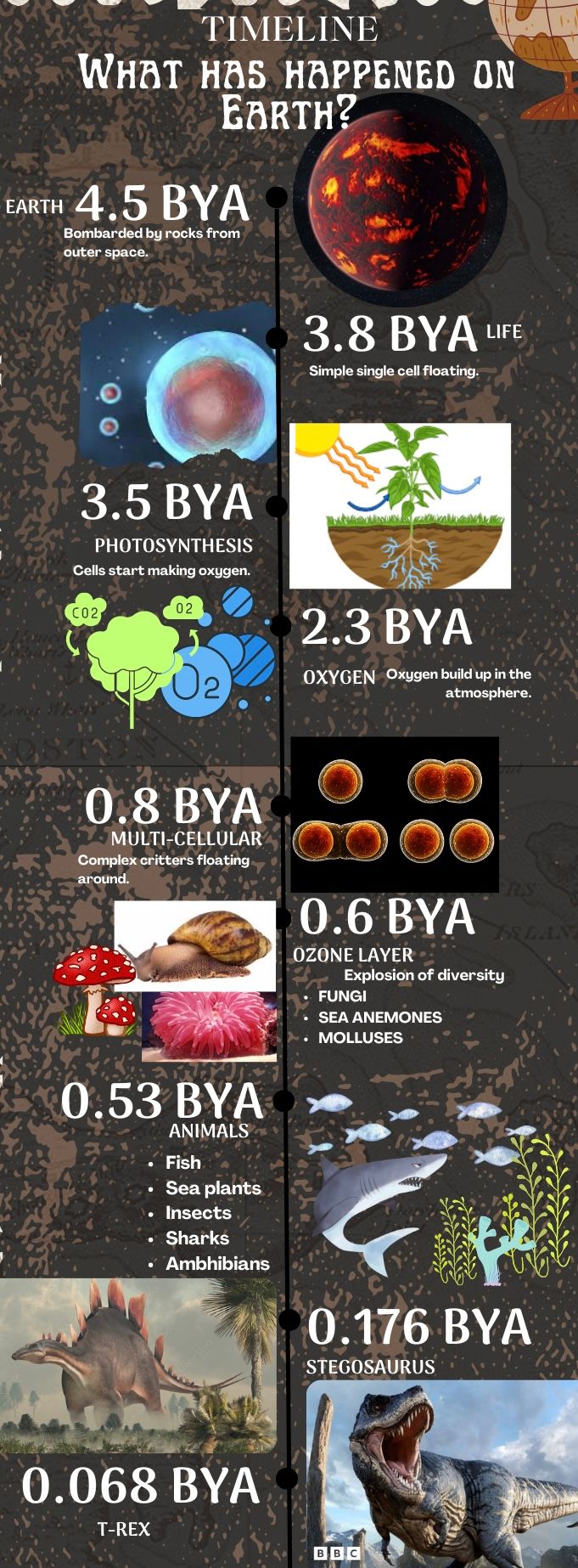 What has happened on Earth? | Genially
