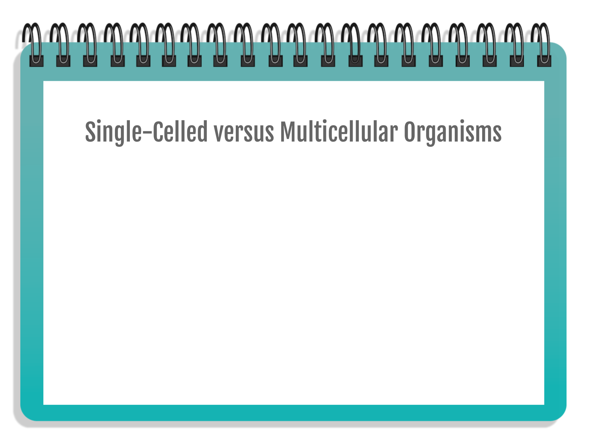 *Plant vs Animal Cells | Genially