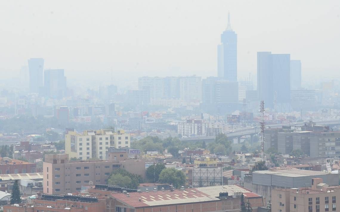 Contaminación en las ciudades | Genially