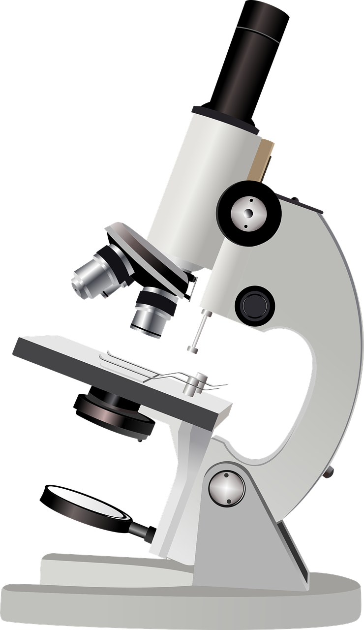 MIcroscope | Genially