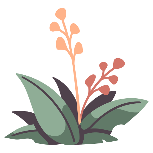 HEADAChEs Board Game | Genially