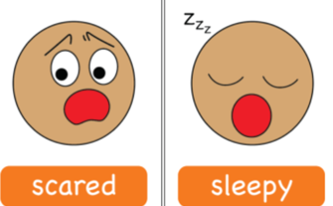 GG2 Unit 2 lesson 8 | Genially