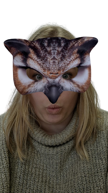 Gr 3-4, L1 The Gruffalo