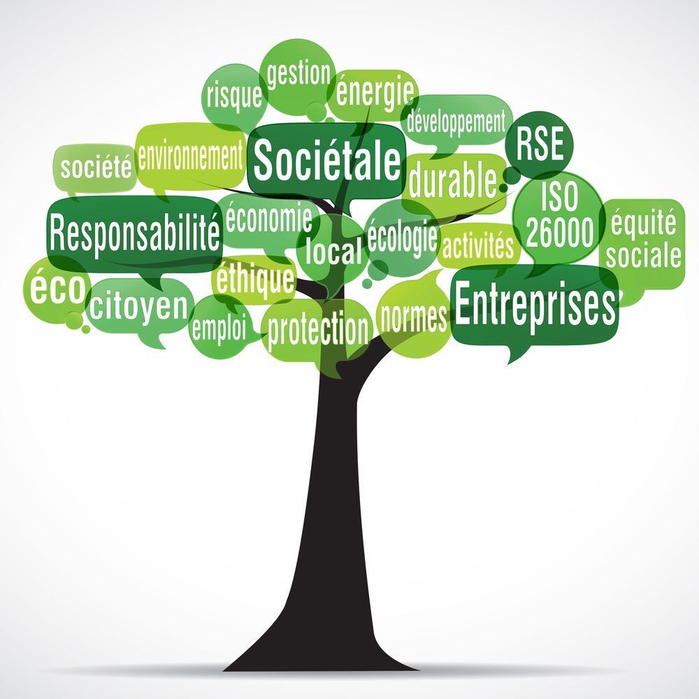 La démarche RSE