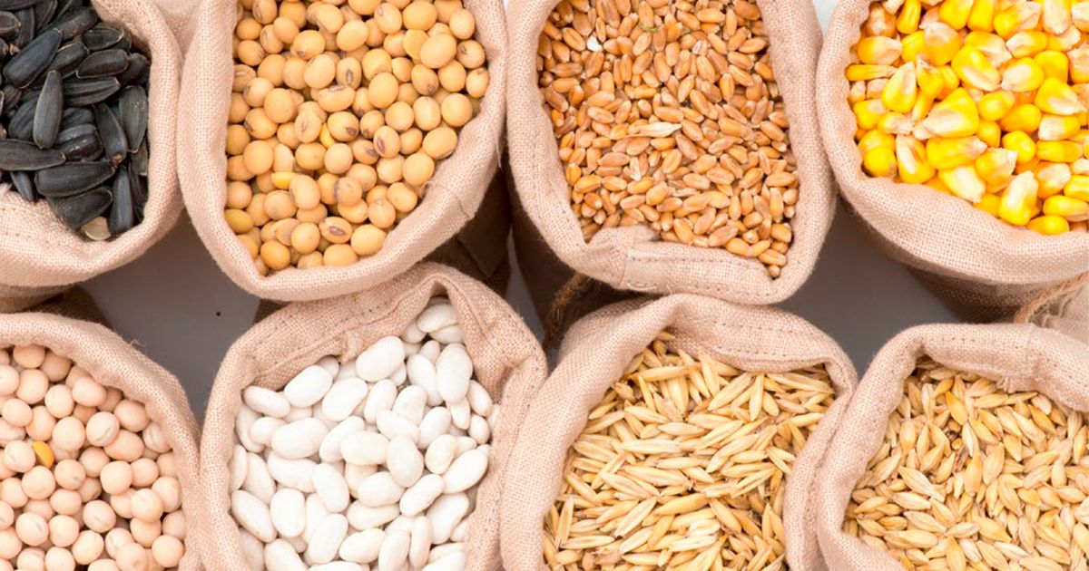 MATERIA PRIMA | Genially