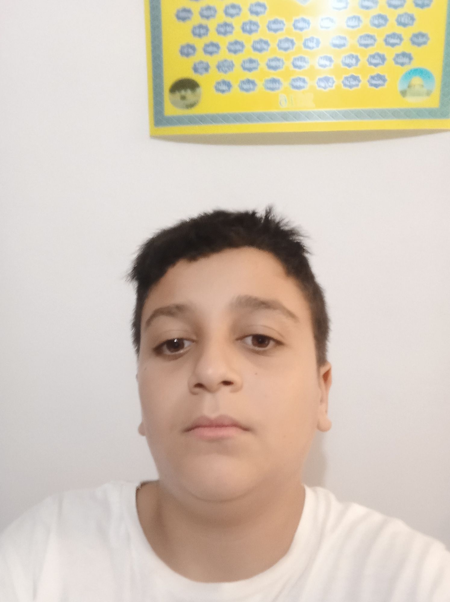 Presentem-nos! | Genially