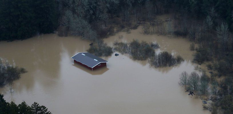 CHARACTER GUIDE II | Genially