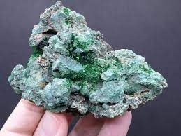 BLACK REPORT | Genially