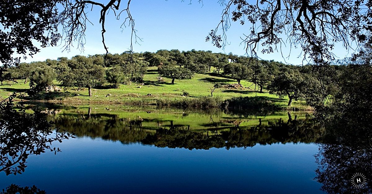 Parque Natural | Genially