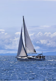 Midnight Sun | Genially