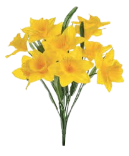 GAME DOBBLE SPRING | Genially