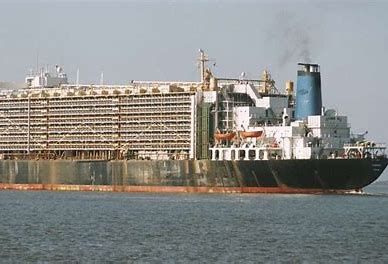 Tipos de buque (mapa mental) | Genially